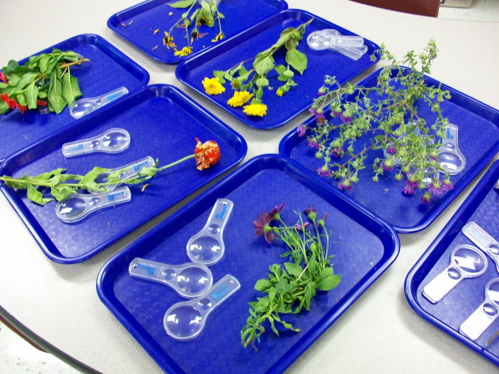 Kristen Foley | Organization, Creativity, & Technology in the Classroom